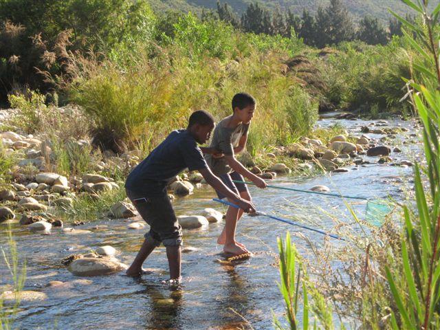 A.F. Louw Primary School